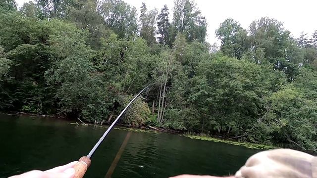 Маленькая блесна и отличная щука. Рыбалка на спиннинг