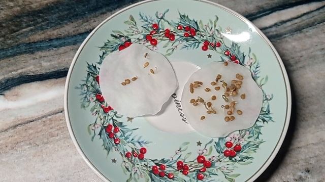 🍅Сеем помидоры на рассаду🍅Рассада помидоров в квартире🍅Огород на подоконнике🍎