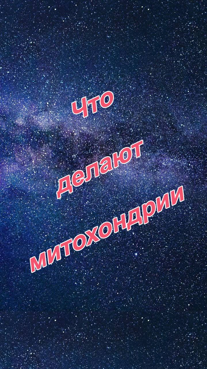 Митохондрии — зачем они нужны нашим клеткам