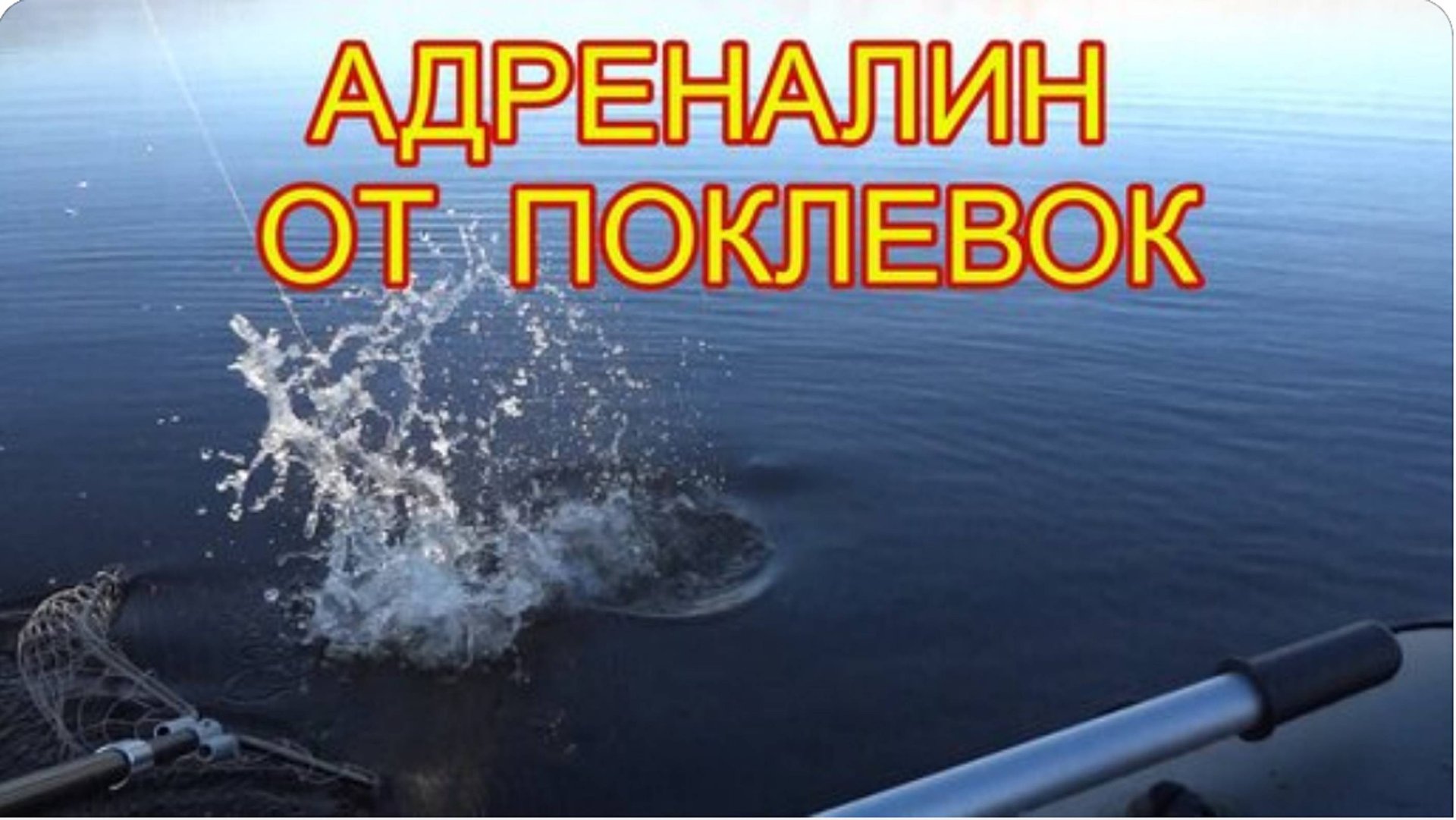 Рыбалка на платных прудах на карасика и карпа. #рыбалка #карп #карась #рыбалканаплатнике