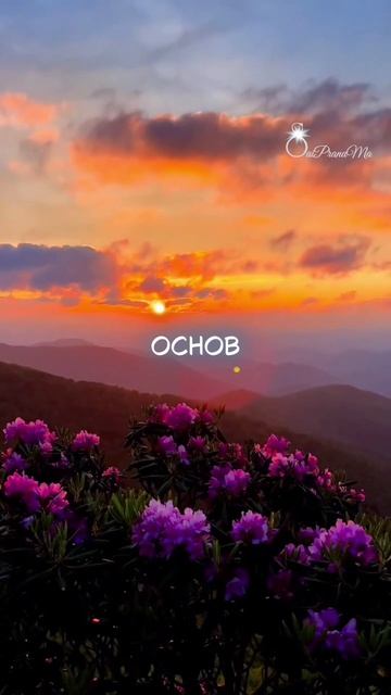 Не грусти …#семинар #пробуждение #просветление #реализация #выезднойсеминар #саипранама #истина