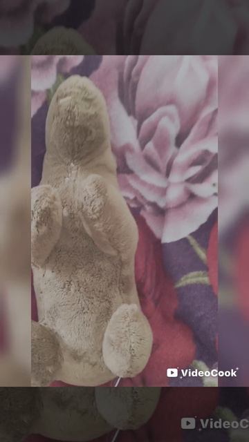 КАПИБАРЫ А НЕ ПИНГВИНИ