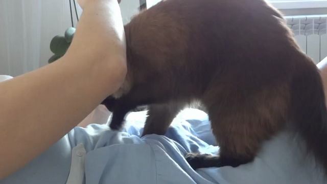 Двое на диване