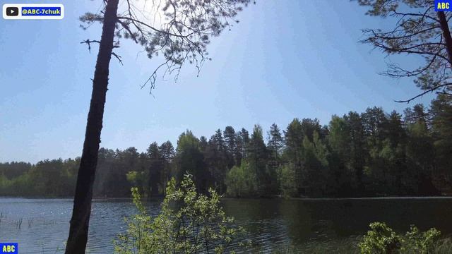 Видео обзор про озеро Светлое (4К) #юныйпрадедбодрыйдед