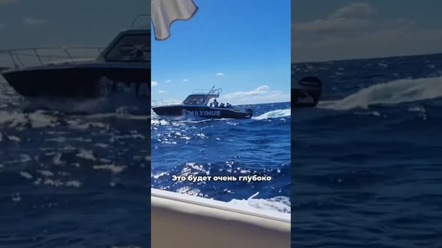 Отзывы о бизнес-ретрите на Маврикии - Ксения Павлова