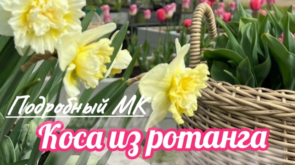 Коса из ротанга, плетем кашпо своими руками!