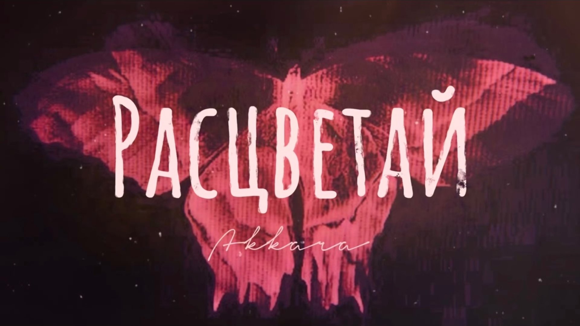 Группа «Аккара» - Расцветай