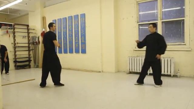 Хай Ян Синъицюань Обучение Формам Животных Часть 2