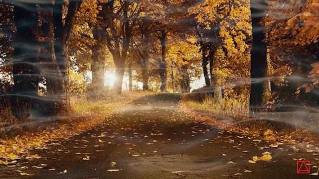 Прп. Нил Синайский ПРЕБЫВАЮЩИЕ НА БЕЗМОЛВИИ В ПУСТЫНЯХ ч5