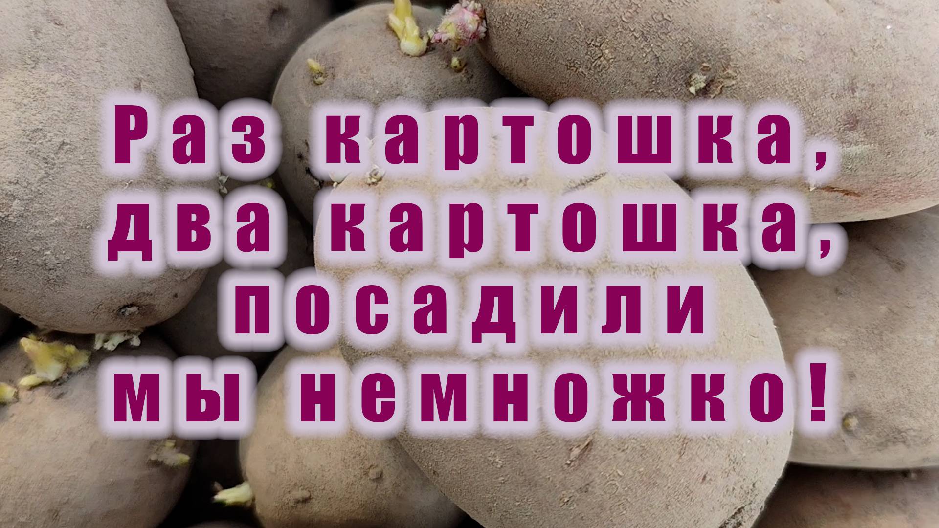 Раз картошка, два картошка, посадили мы немножко!