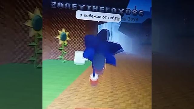 Соник я с тобой развожусь!