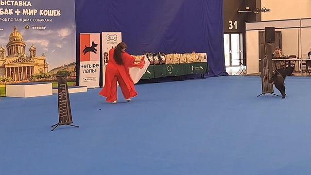 Танцы с собаками.Чемпионат Р.К.Ф по танцам с собаками.Экспофорум.Санкт-Петербург.2025.