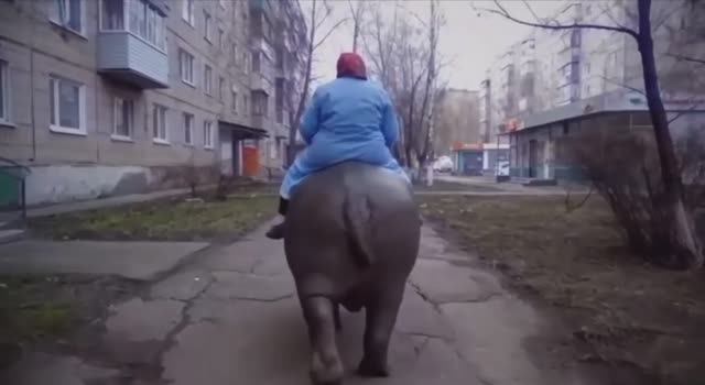 Это моя Булька.