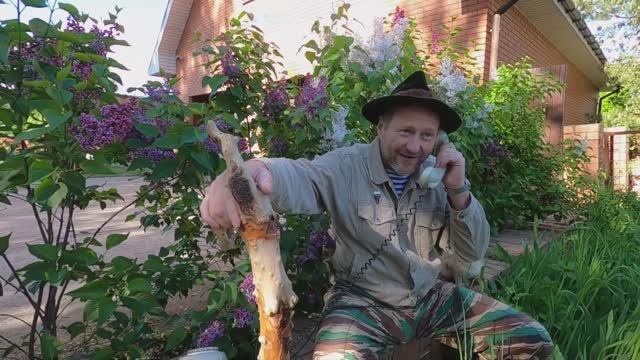 1 серия. Жил на свете капитан | Сериал "Старики во Вселенной"