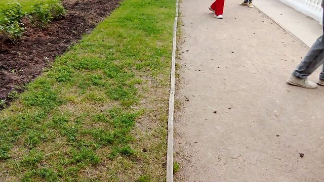 Летняя газонная территория в музее усадьбе Архангельское. Очень интересная резиденция в мире.