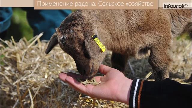 48. Радиоактивные превращения