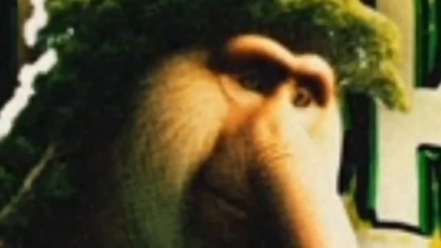 BRR BRR PATAPIM FUNK