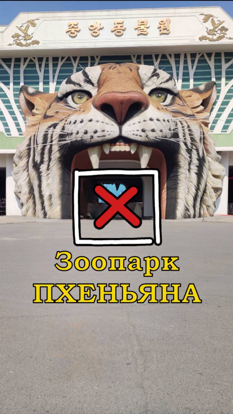 Зоопарк Пхеньяна. Зоопарк столицы Северной Кореи. Дикие животные КНДР достопримечательности #shorts