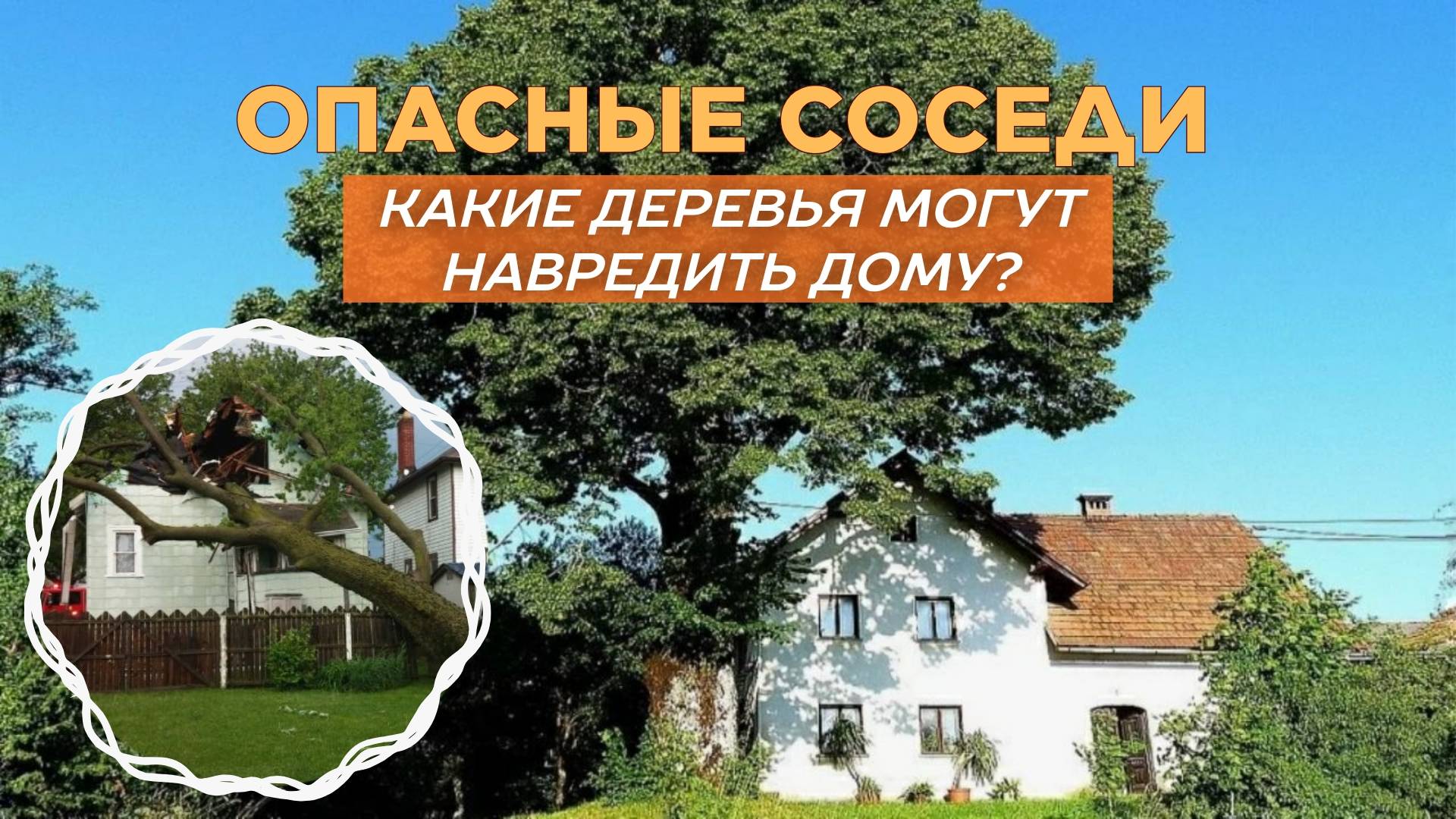 На каком расстоянии от дома БЕЗОПАСНО сажать деревья?
