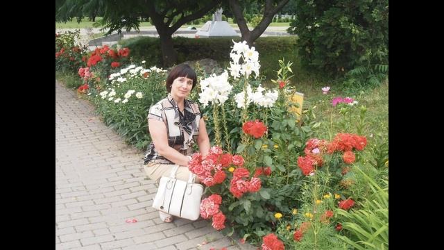 Весенним днём. Слова и музыка Зеленина А.Б) ремикс