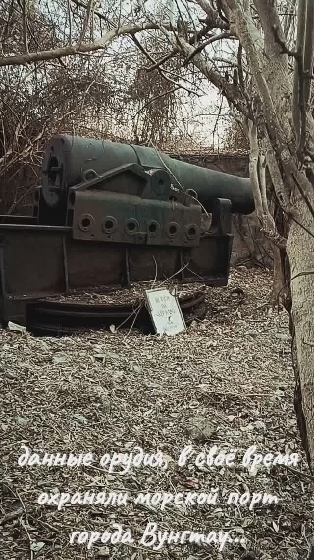 Заброшенные пушки в джунглях Вьетнам!