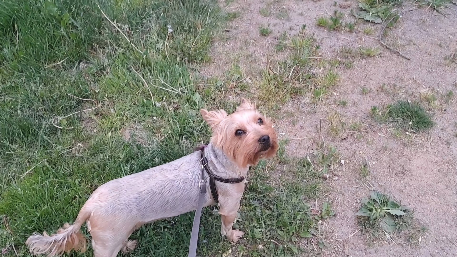 29.05.25 г. Получила по голове... нужен совет, может кто заказывал на валберис или озон