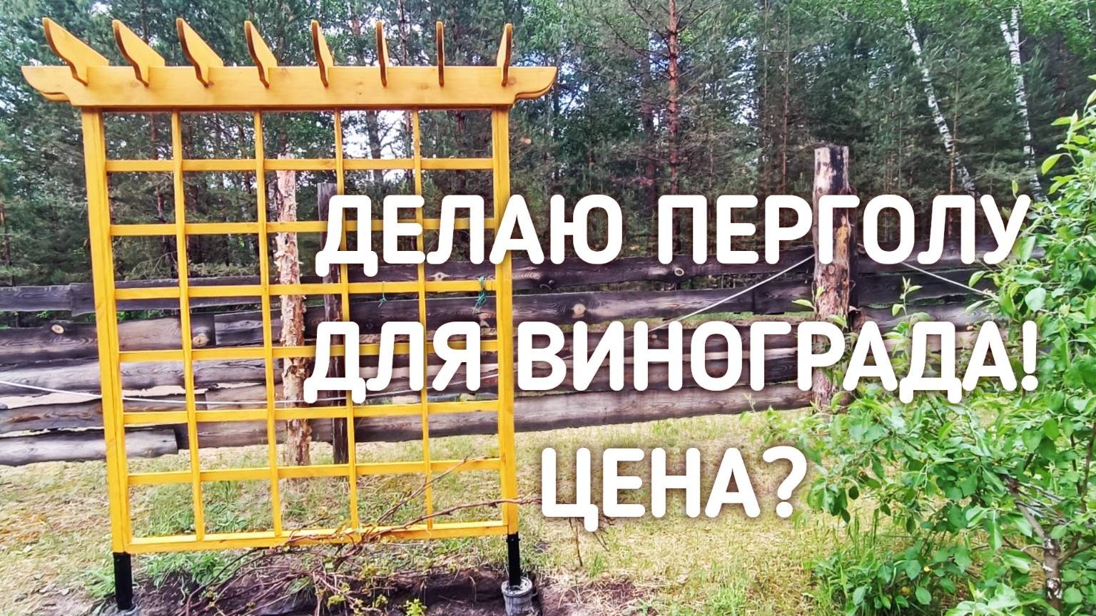 ПЕРГОЛА ДЛЯ ВИНОГРАДА! ЦЕНА?