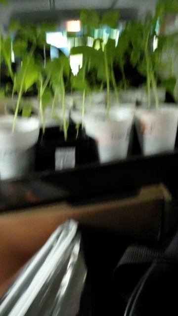 Скорые сборы и в путь! Заехали в деревенский магазин по пути прикупить вкусняшки по мелочи!