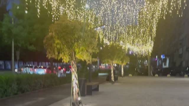 Светодиодный гирлянды - Позитив на всю улицу ,а изделия из железа в кафе - произведения искусство