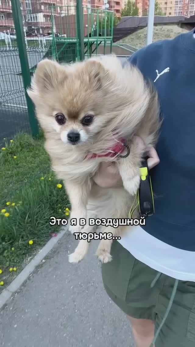 Бася недовольна моим решением!