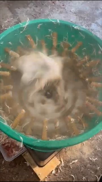 Перосъемная машина для уток, кур, гусей, индюков весом до 6 кг