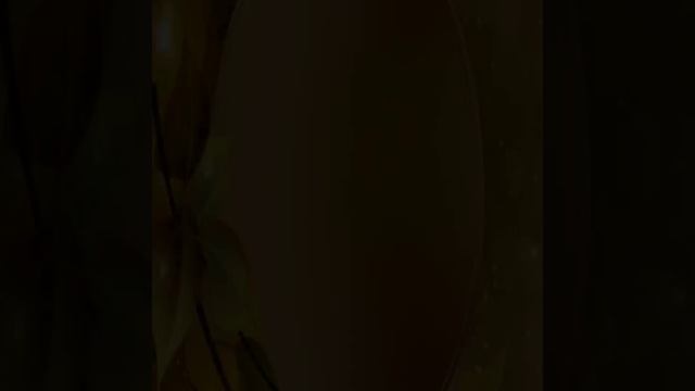 Лето пришло !