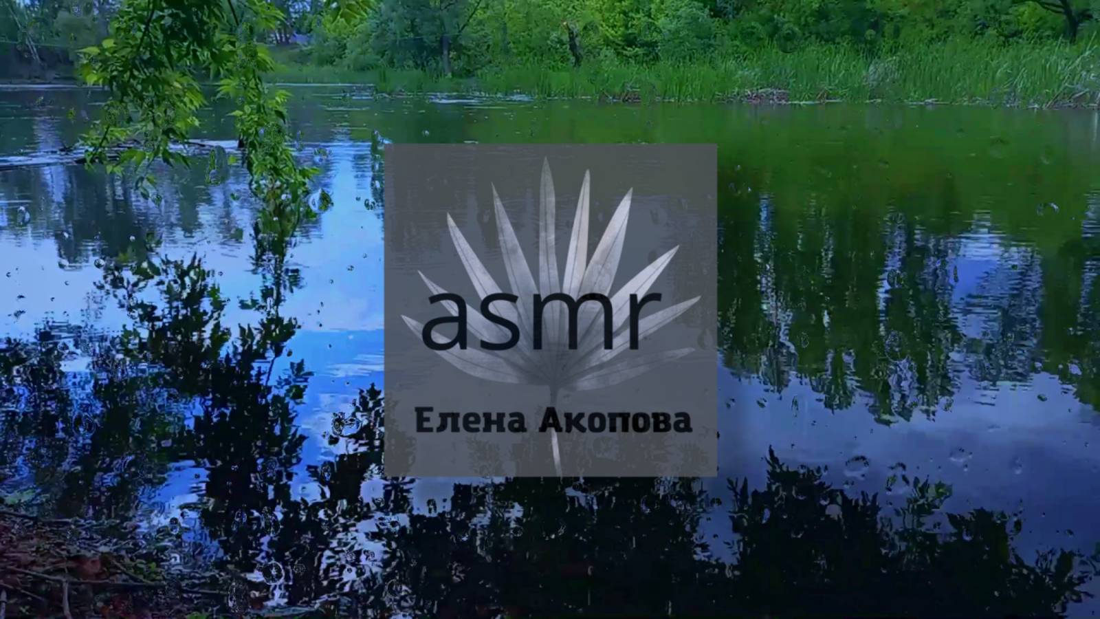 АСМР. Речная гладь и шум дождя успокаивают