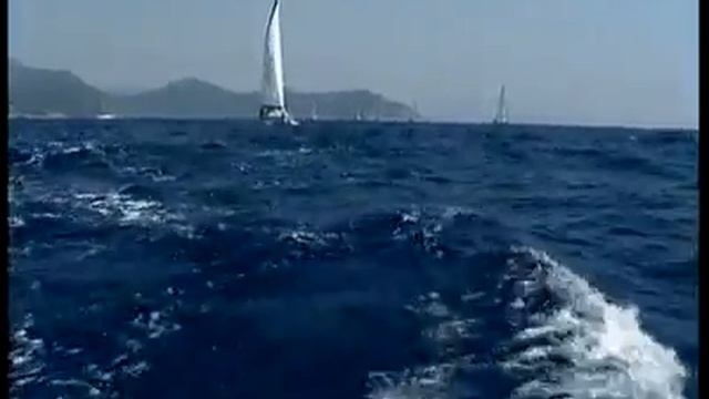 Корпоративная регата BullitCup