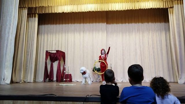 Сегодня мы посетили цирк, дети не могли устоять, побежали на сцену. Было очень весело.