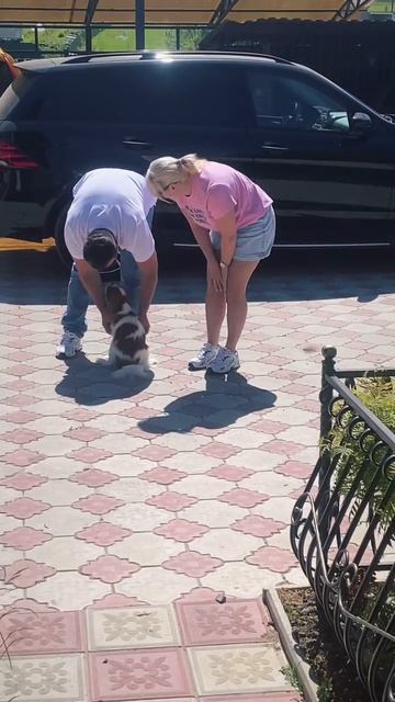 Встреча Фоксика с семьей после каникул