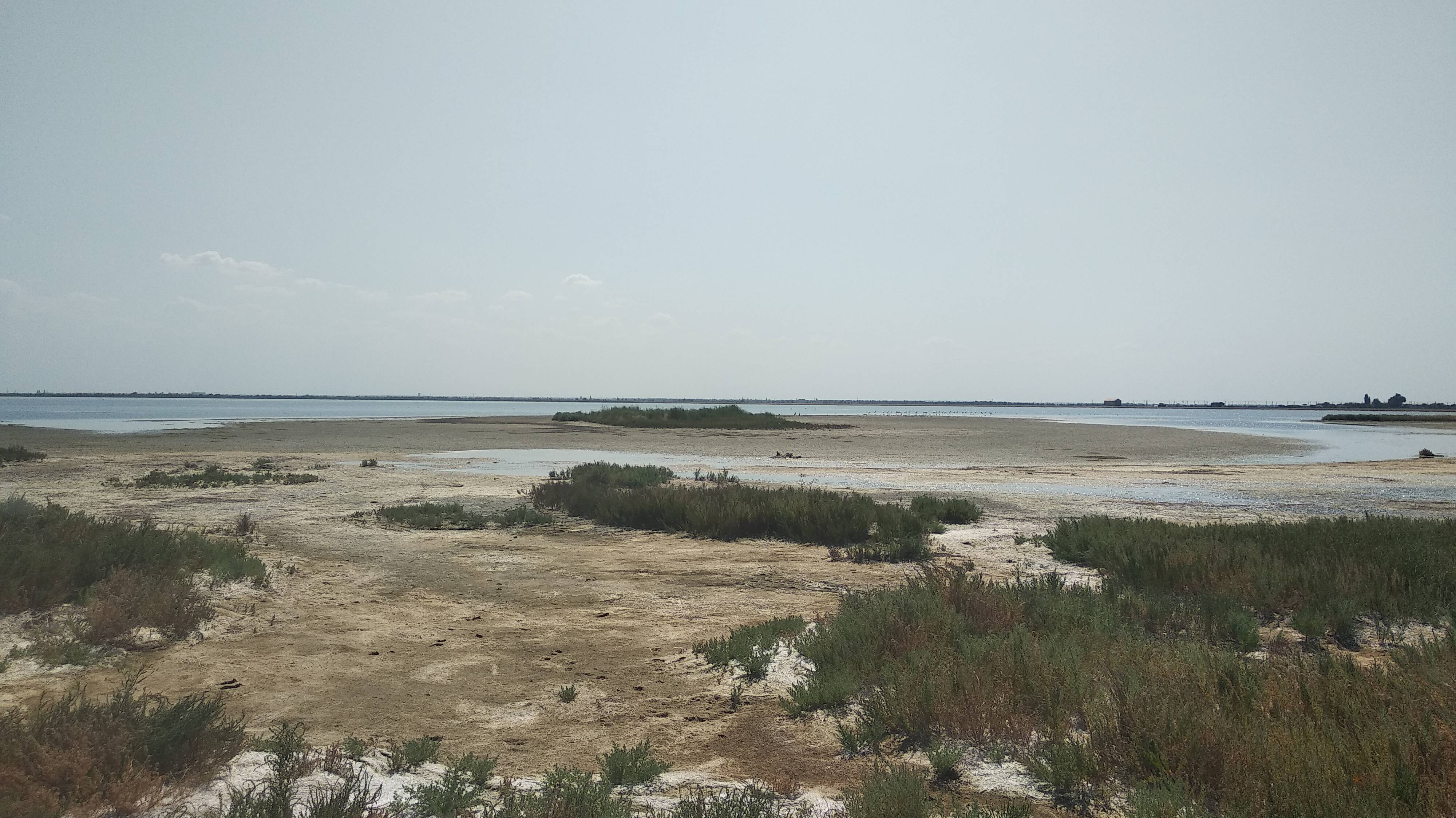 Бородино. М.Ю.Лермонтов. Читаю ребенку