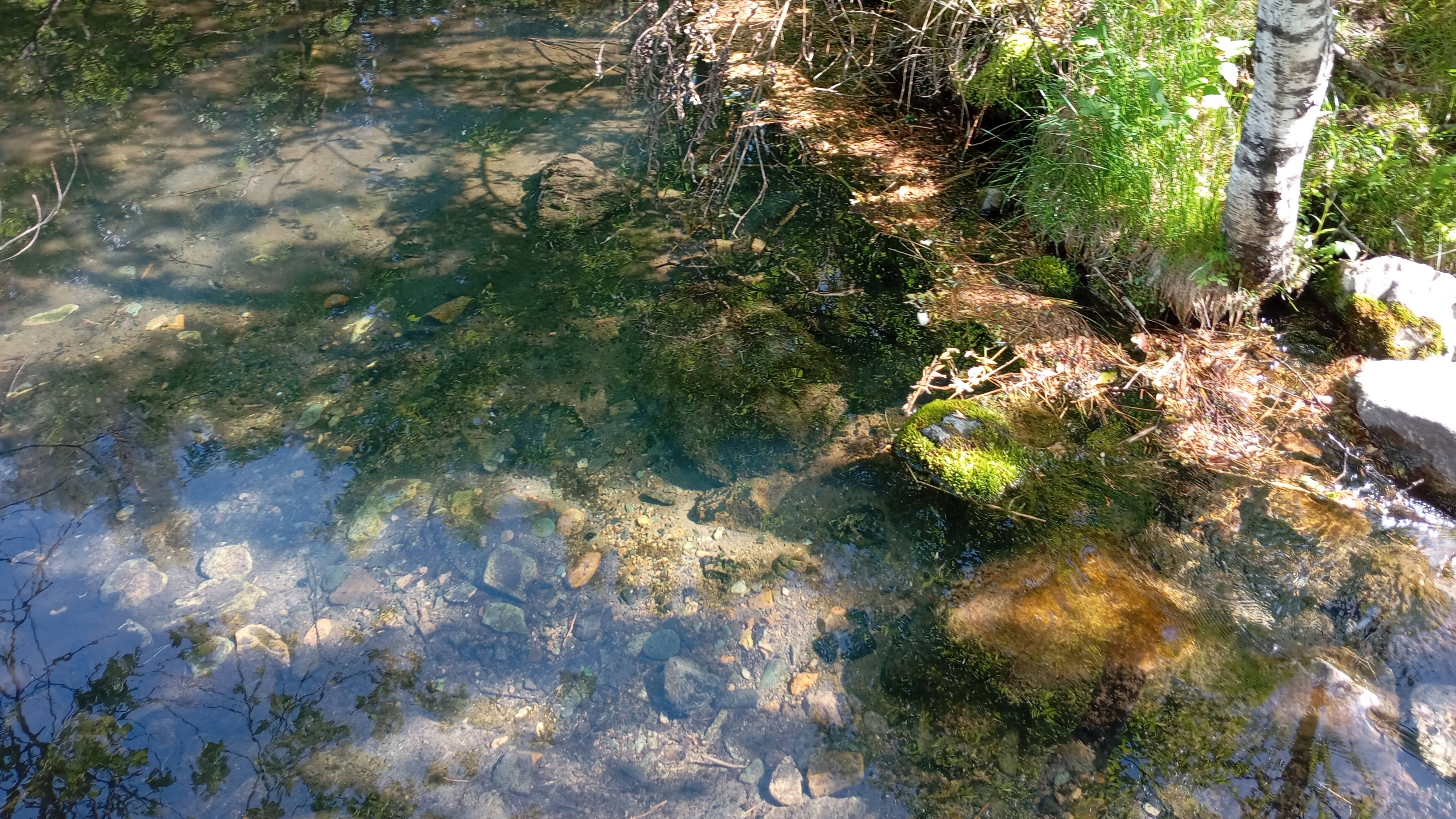Родники Алтая♥️❤️❤️
