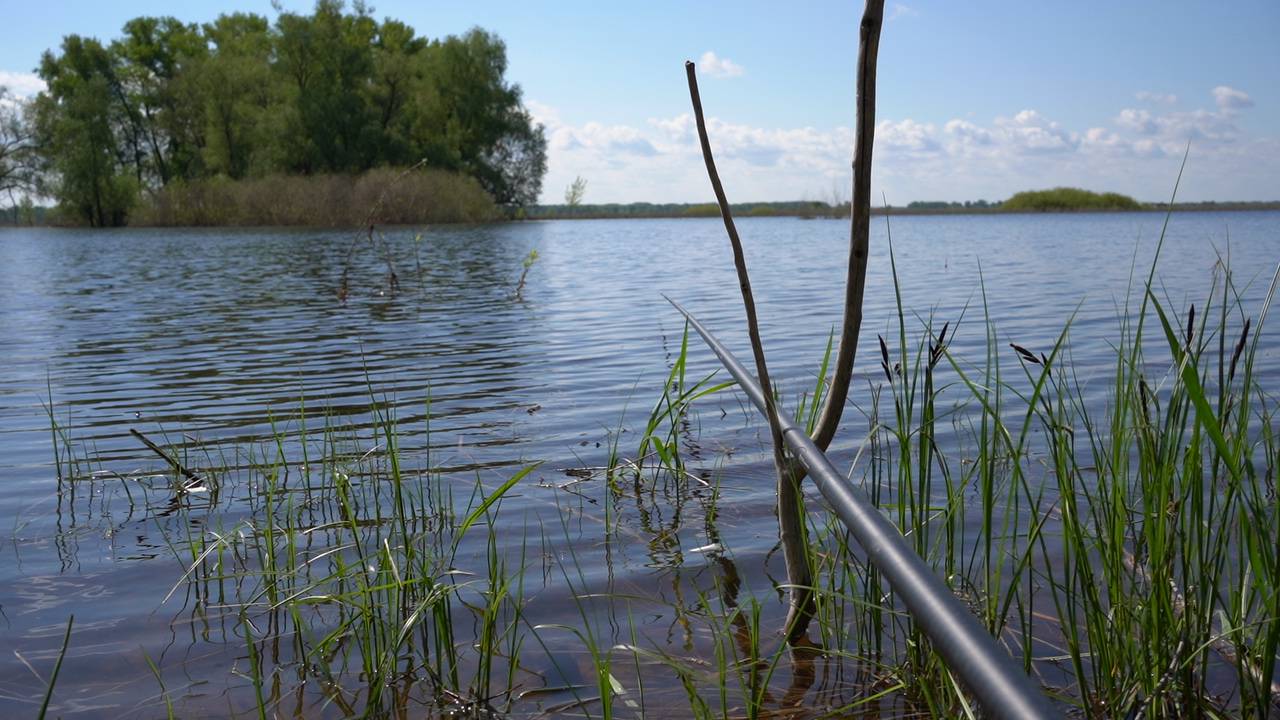 Свежего насаживаешь и сразу поклёвка.  Рыбалка
