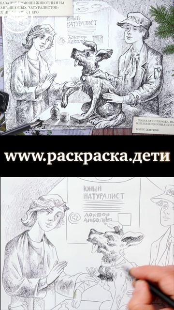 Хочу быть Юннатом!
Видеоурок "Оказание помощи животным" техника-тушь, перо