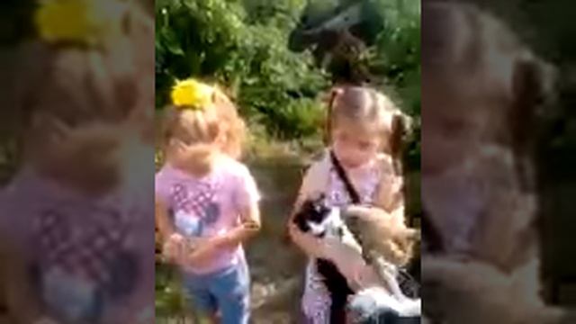 Девчата и котята.