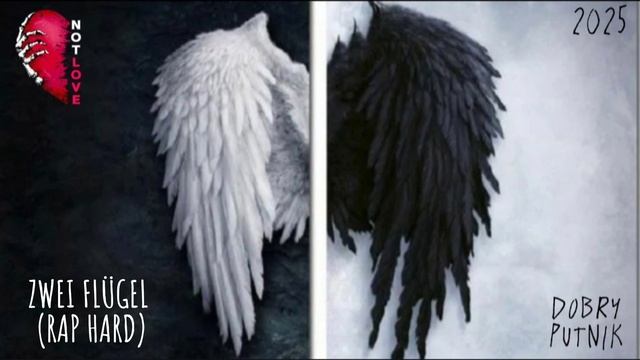 NOT LOVE - ZWEI FLÜGEL (RAP HARD)