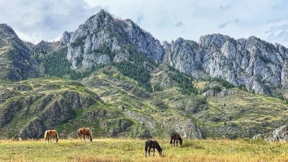 Невероятный Алтай