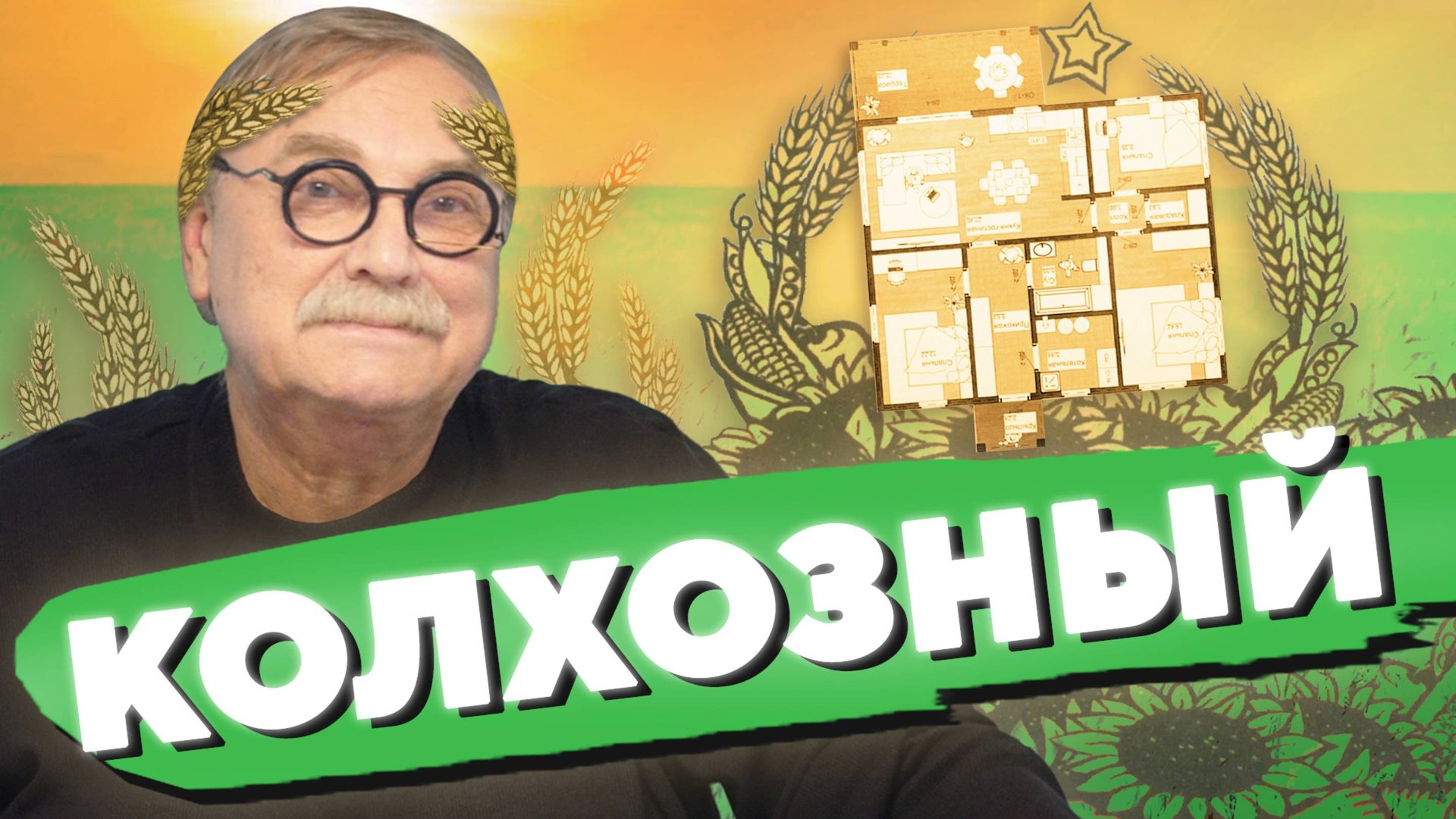 КОЛХОЗНЫЙ ДОМ · ПРОЕКТ ПЕТРУШИ / №437