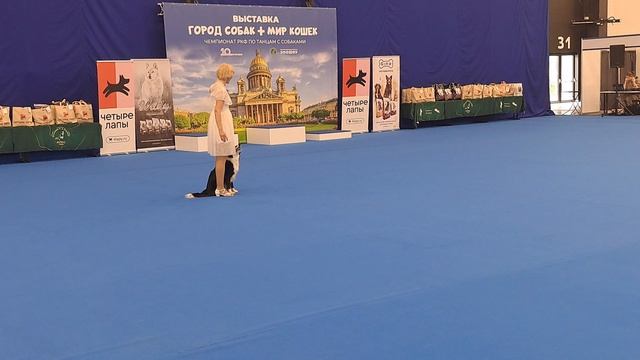 1000011445.mp4.Танцы с собаками.Татьяна Мерляк..Экспофорум.Санкт-Петербург.2025.