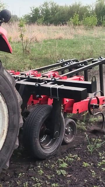 Универсальный культиватор для капусты #medved #farming #сельхозтехника #агротехнологии