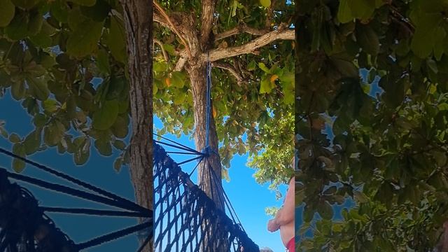 Балийская белочка