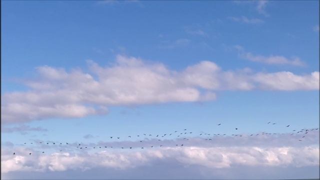 2024 январь  Махачкала  Каспийское море Синяя вечность