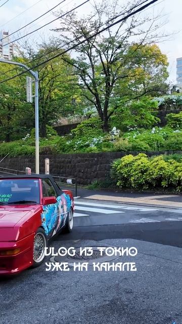 Влог из Токио. Куда сходить, что посмотреть, достопримечательности и шоппинг