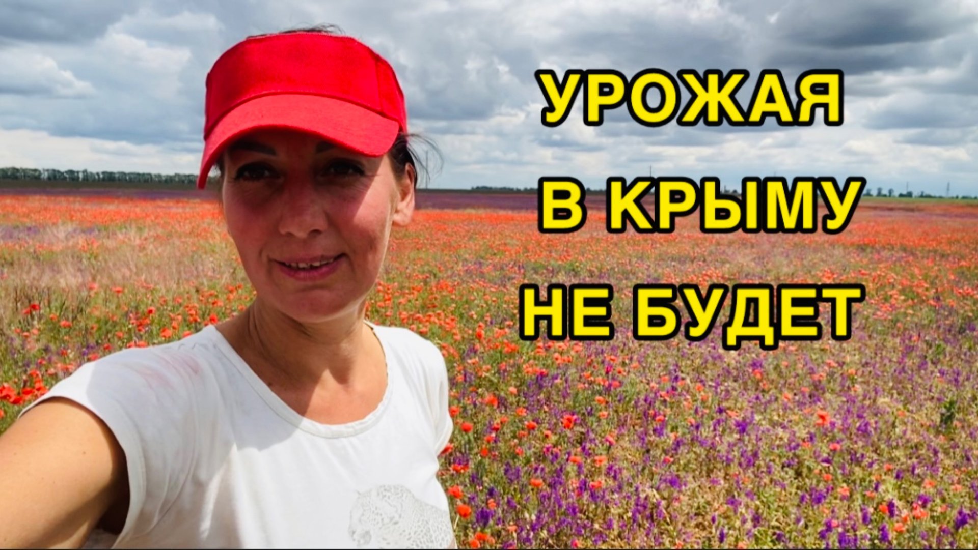 Сбор клубники 🍓29 май 2025
